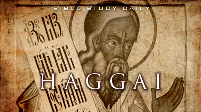 Introduction to Haggai - Bible Study Daily Introduction to Haggai - Bible Study Daily